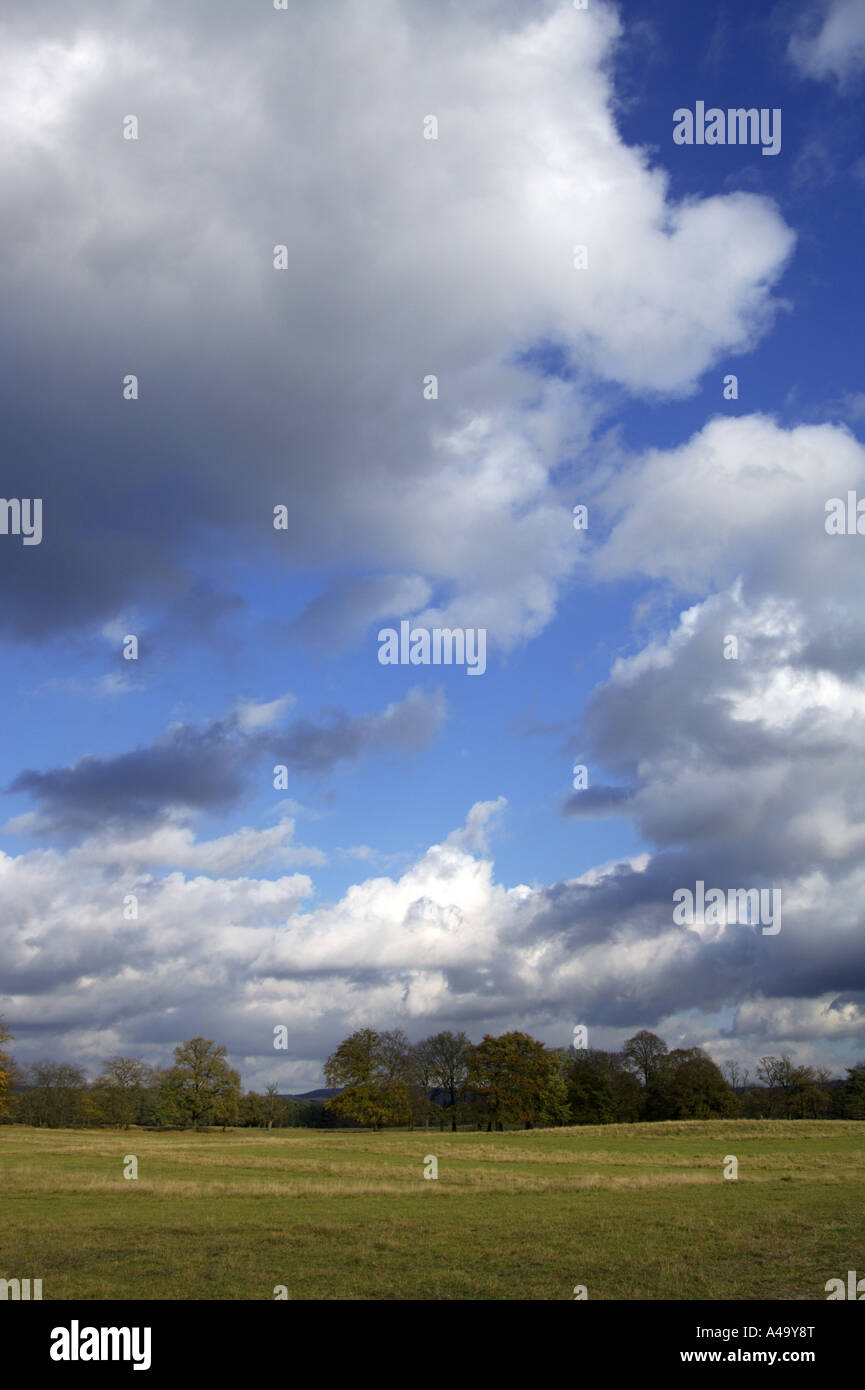 Senne heath landscape hi-res stock photography and images - Alamy