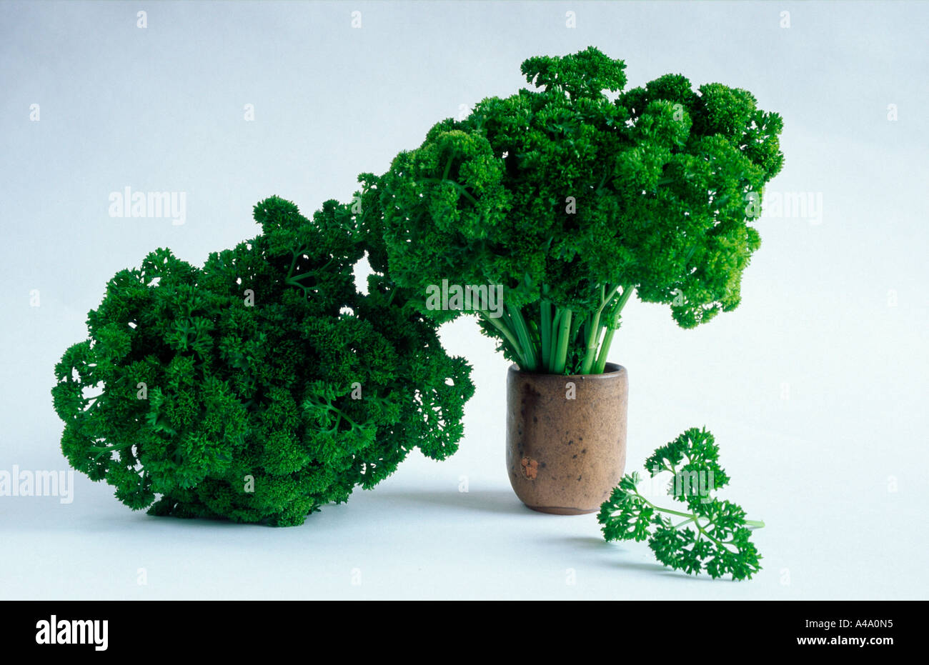 Petersilie hi-res stock photography and images - Alamy