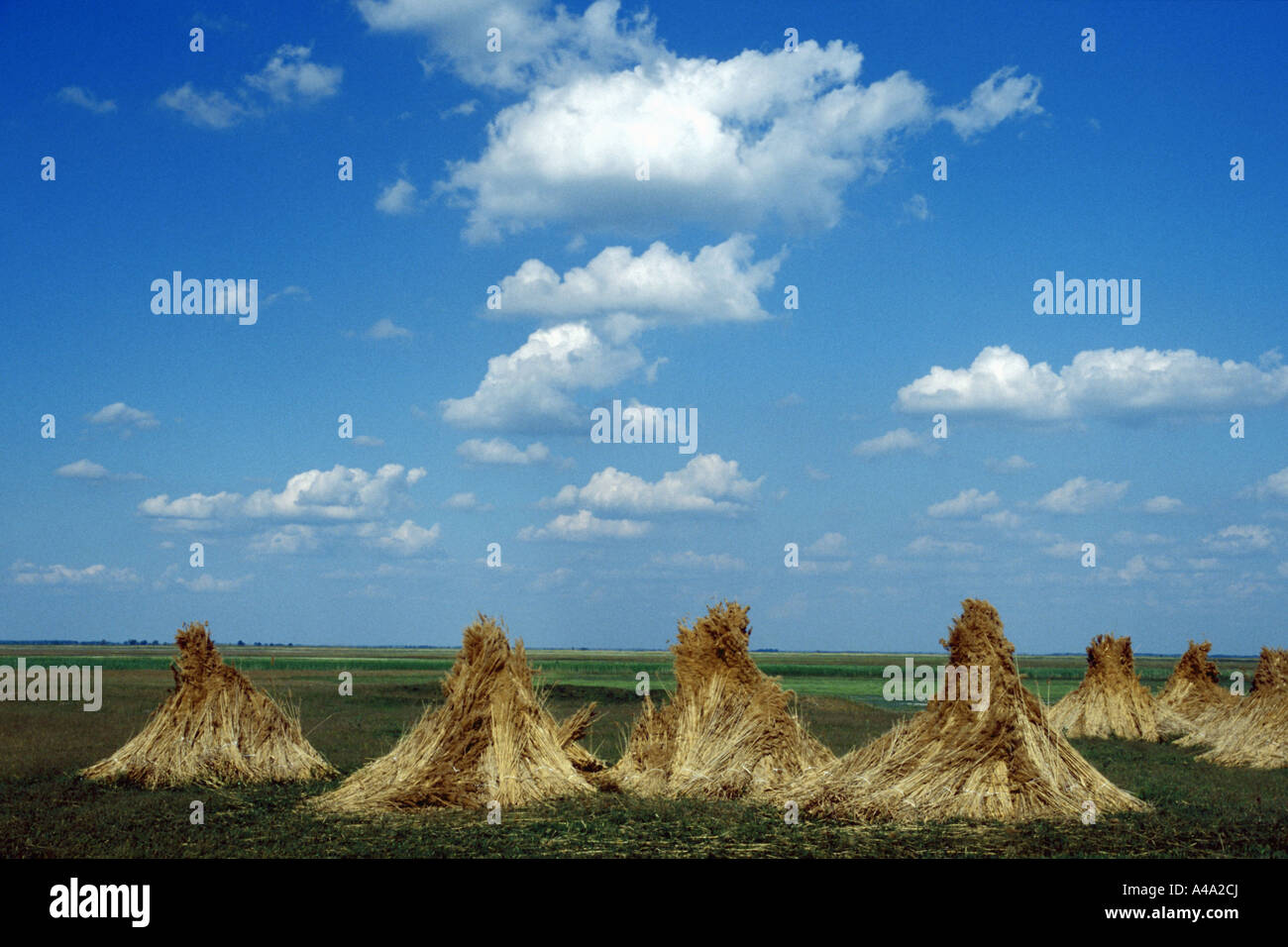 Steppes Europe Landscape High Resolution Stock Photography and Images ...
