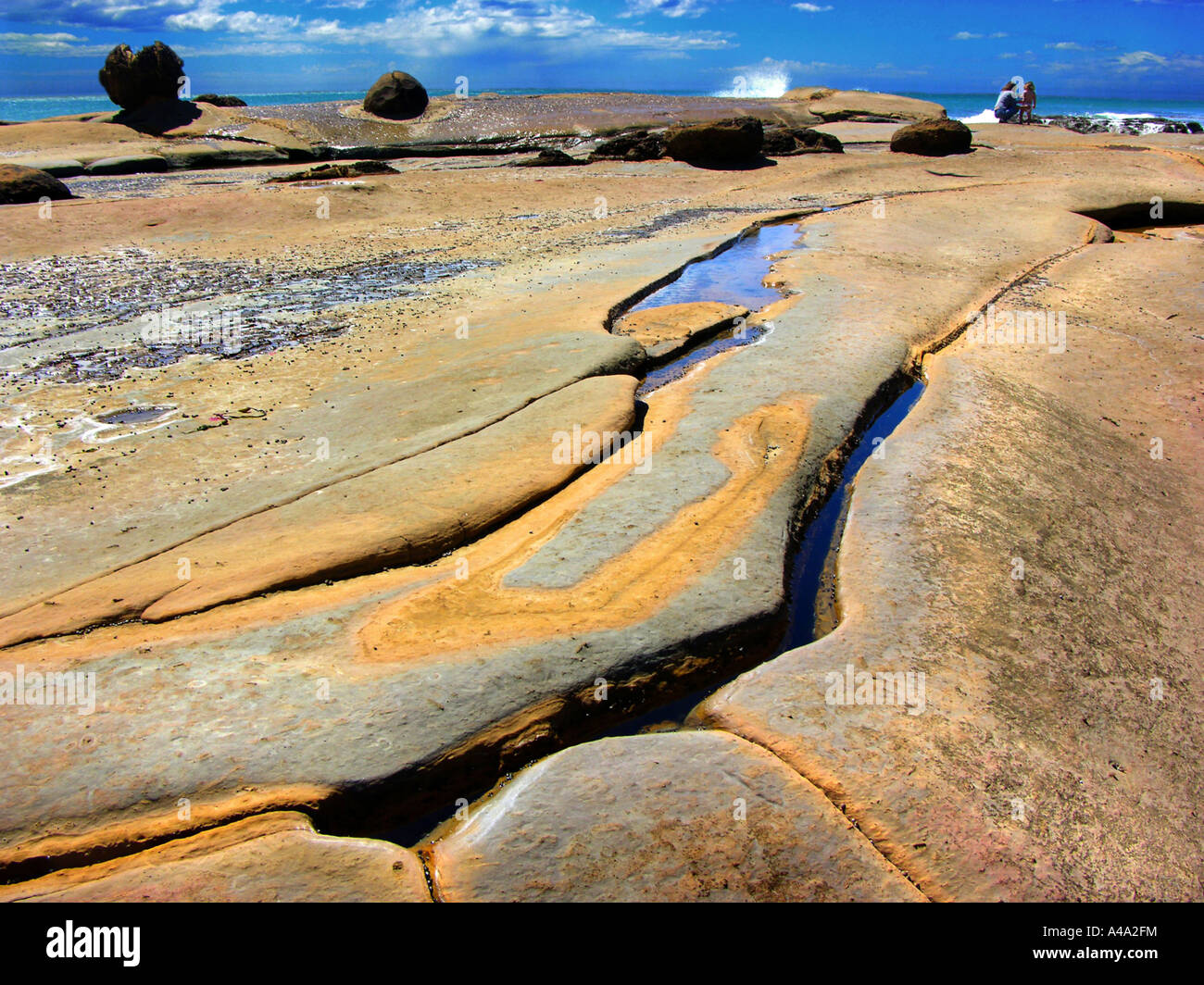 rockbound coast - Shag Point, New Zealand Stock Photo - Alamy