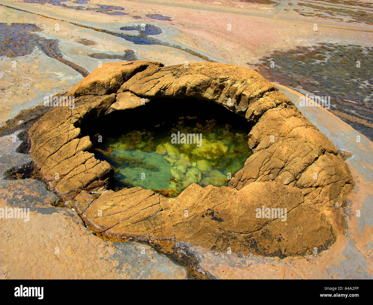 rockbound coast - Shag Point, New Zealand Stock Photo - Alamy