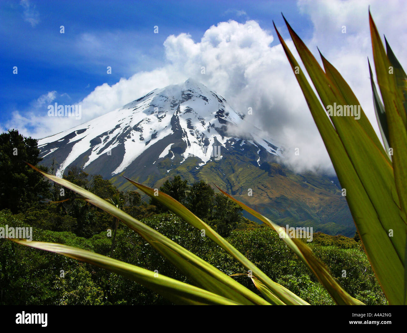 Mt. Taranaki, New Zealand Stock Photo - Alamy