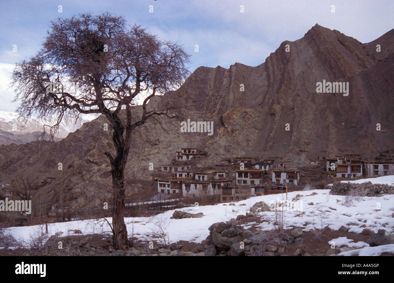 Hemis Monastery Hemis Ladakh India Asia Stock Photo - Alamy