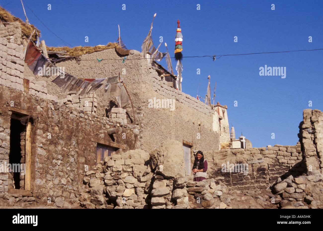 Typical house Leh Ladakh India Asia Stock Photo - Alamy