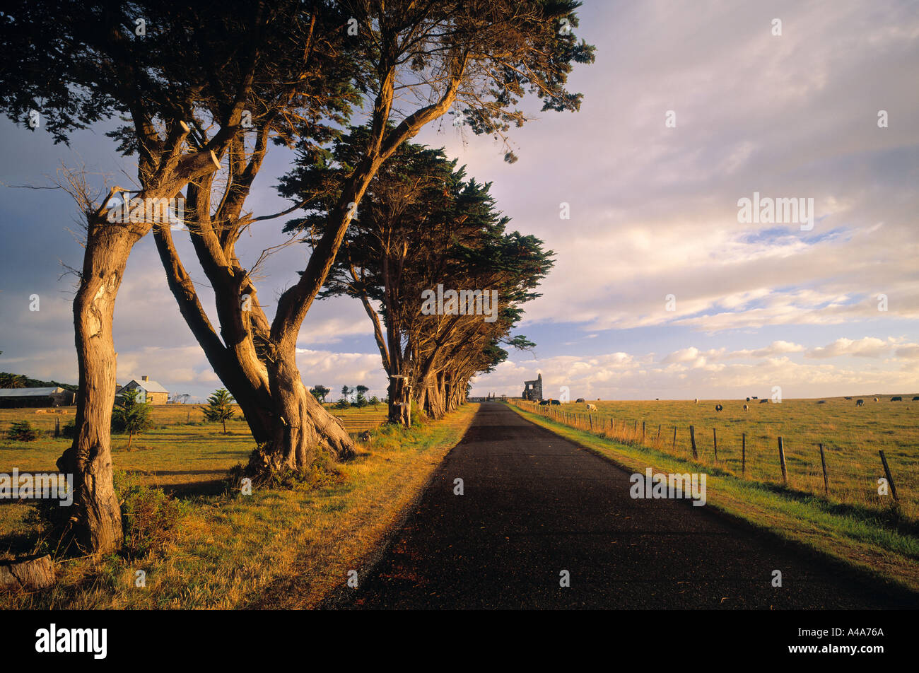 Stanley, Tasmania, Australia Stock Photo - Alamy