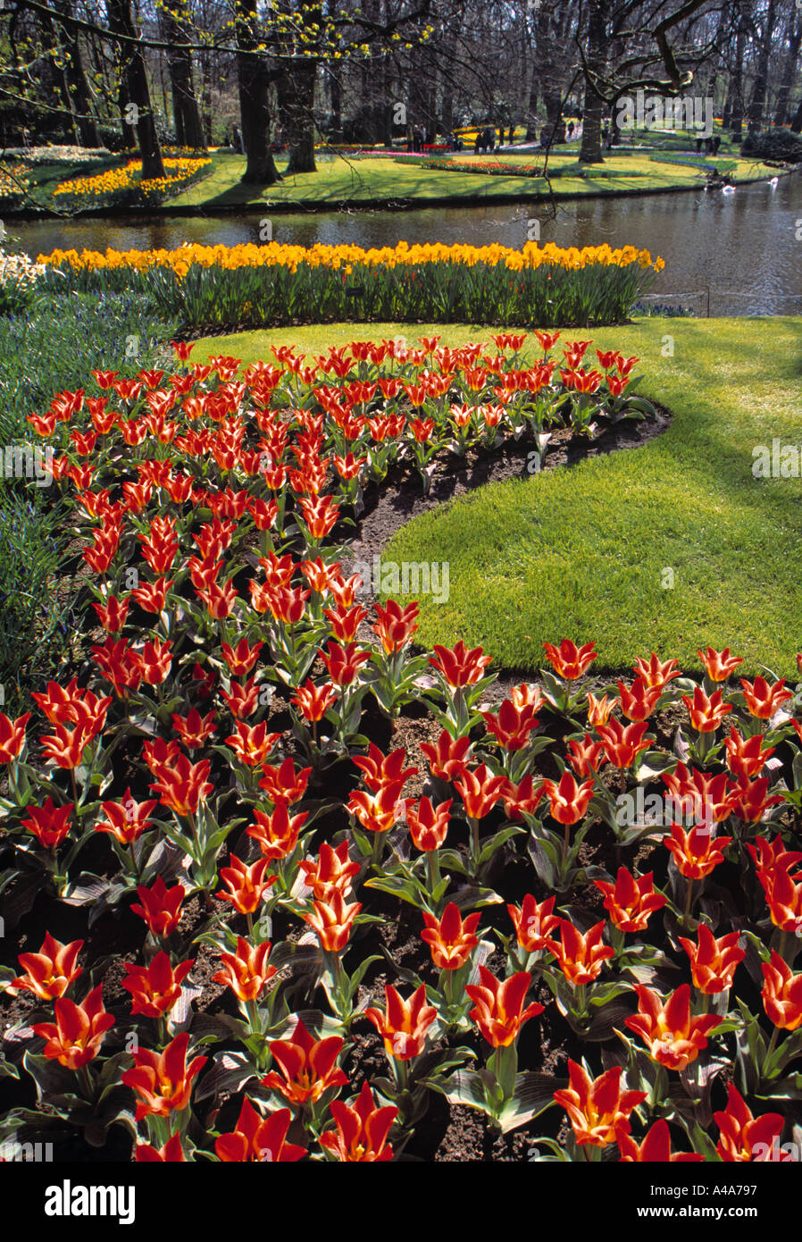 Zuid holl hi-res stock photography and images - Alamy