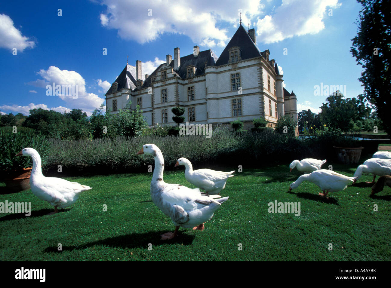Cormatin castle hi-res stock photography and images - Alamy