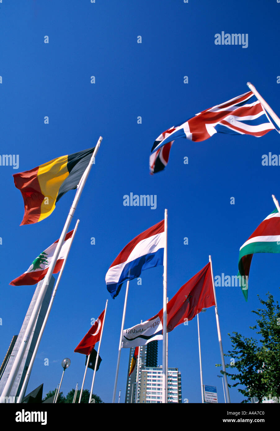 Its rotterdam hi-res stock photography and images - Alamy