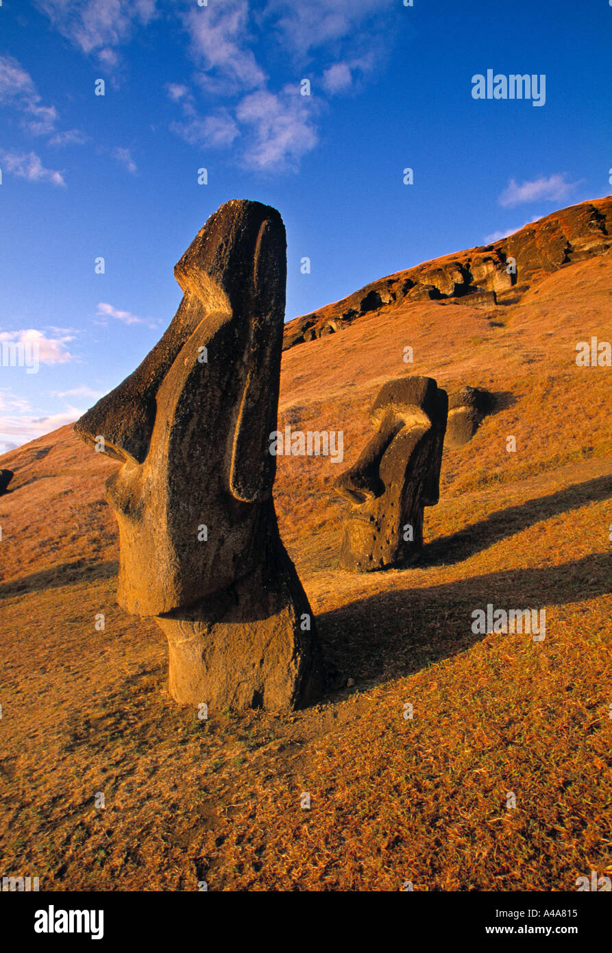 Moai Quarry, Easter Island, Chile Stock Photo - Alamy