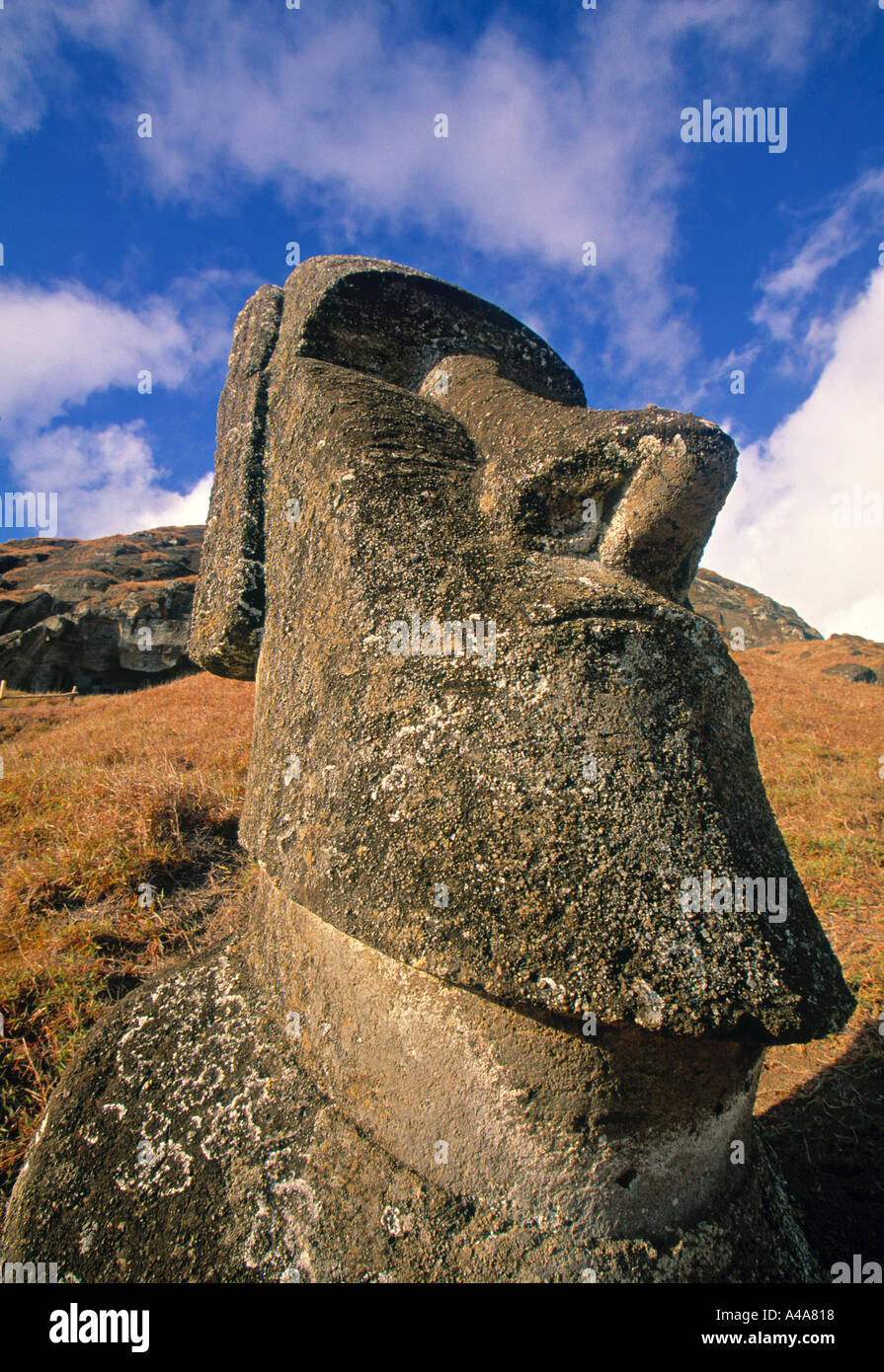 Moai Quarry, Easter Island, Chile Stock Photo - Alamy