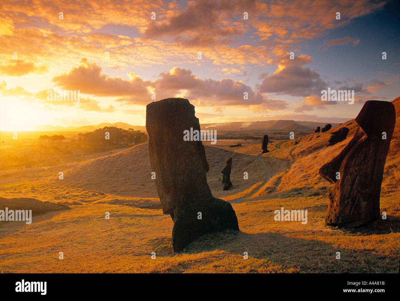 Moai Quarry, Easter Island, Chile Stock Photo - Alamy