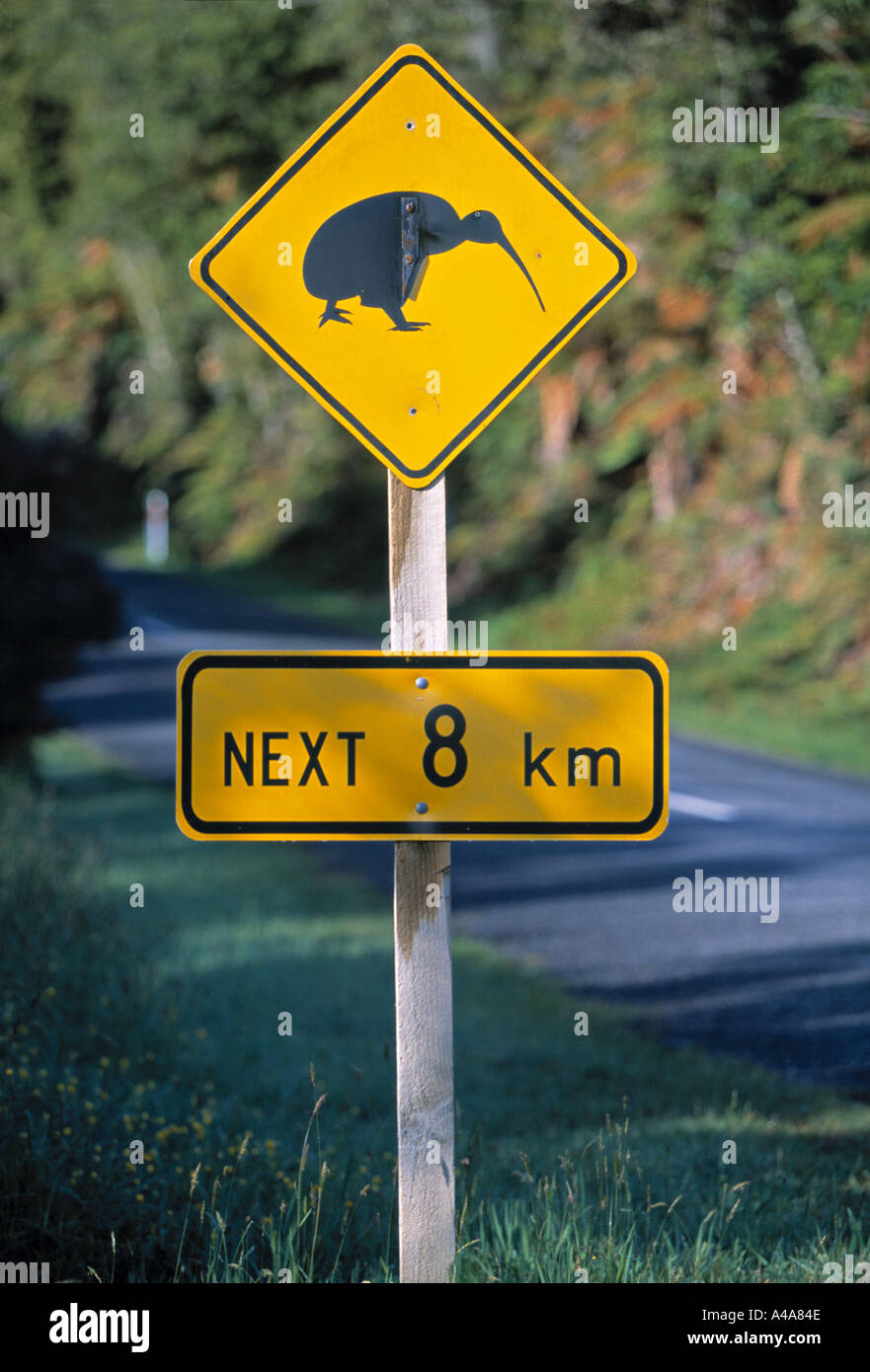 Kiwi Sign, New Zealand Stock Photo - Alamy