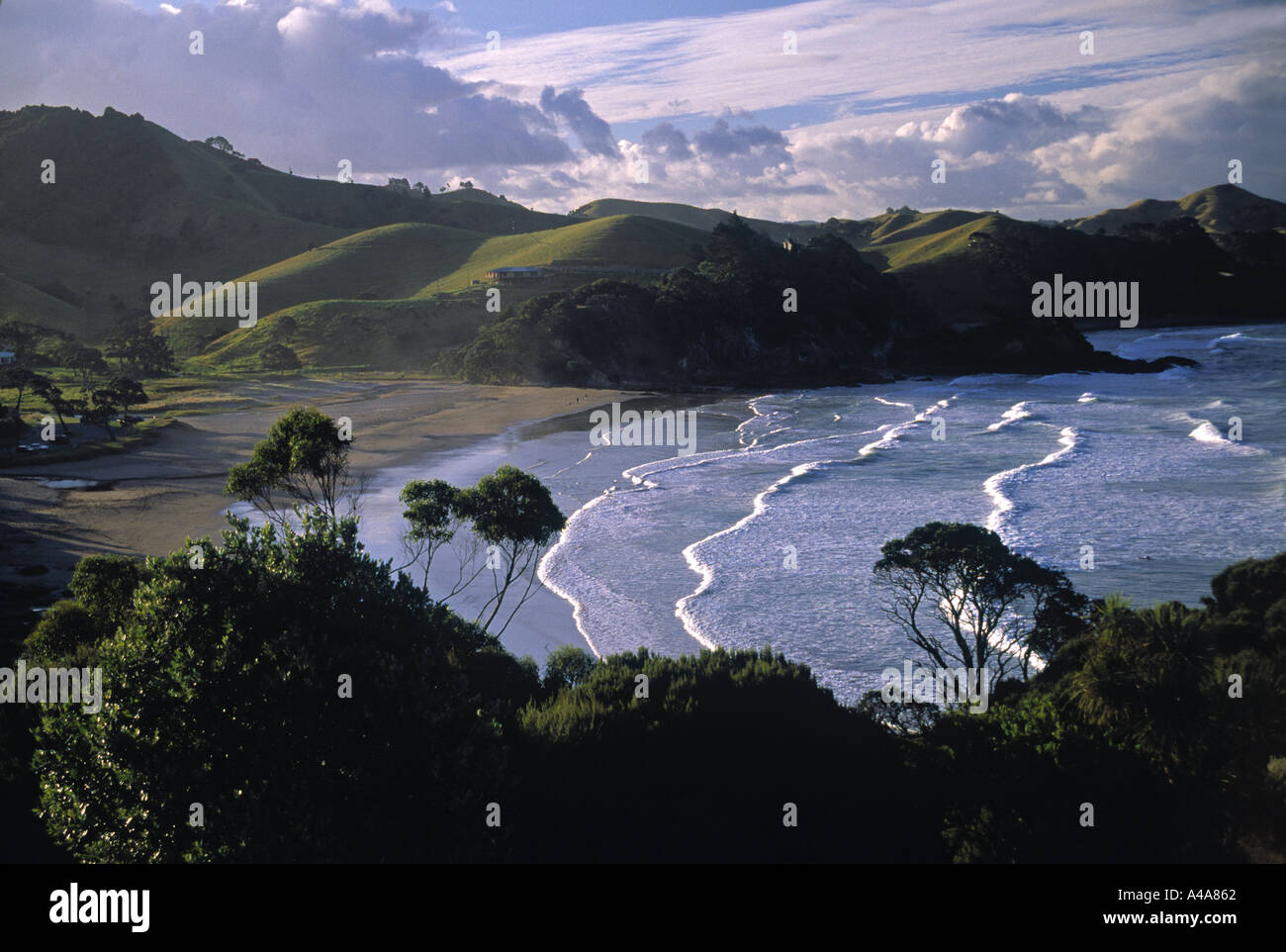 Sandy bay new zealand hi-res stock photography and images - Alamy