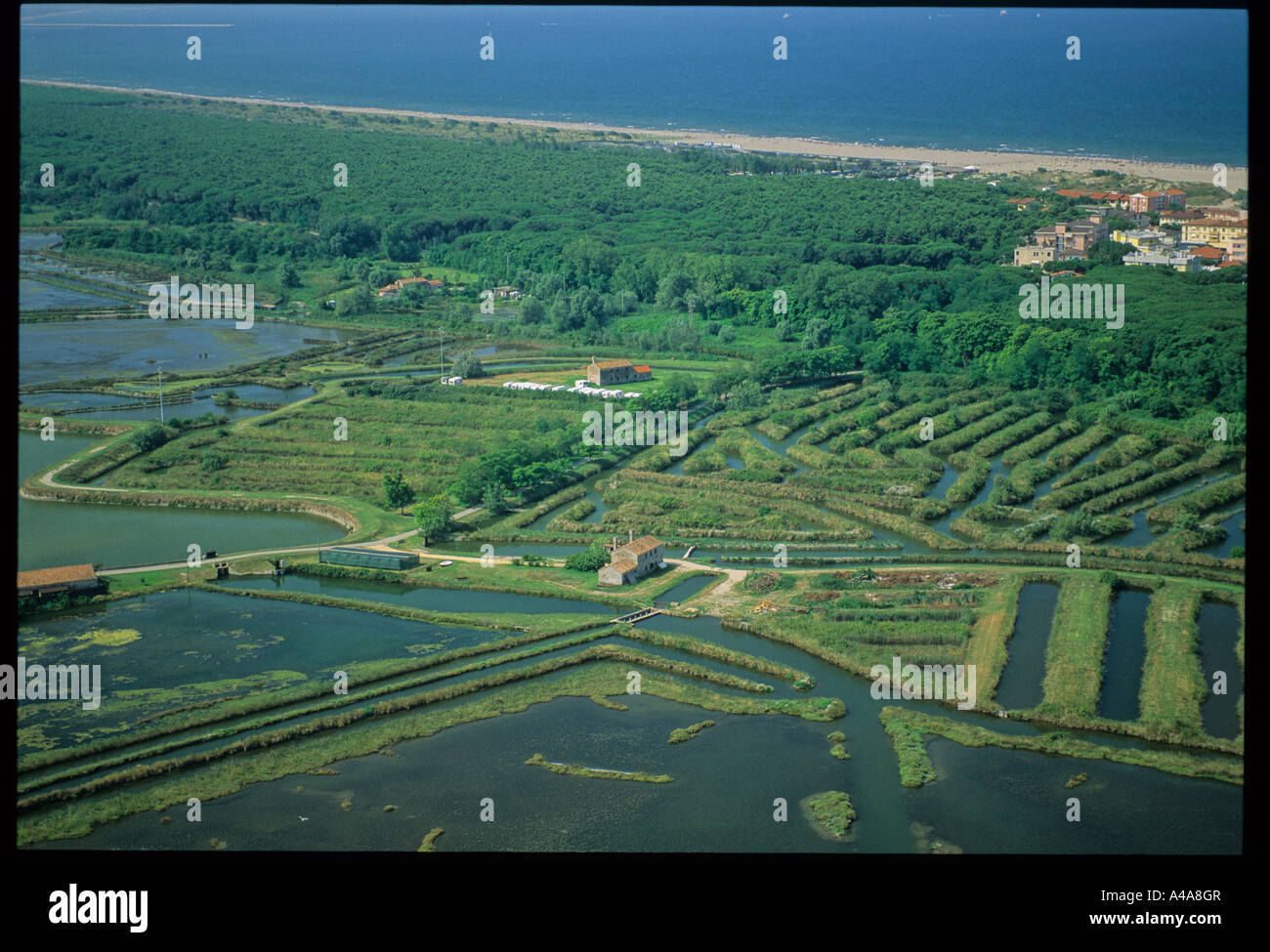 Aerial view of Rosapineta of Rosolina Veneto Italy Stock Photo - Alamy