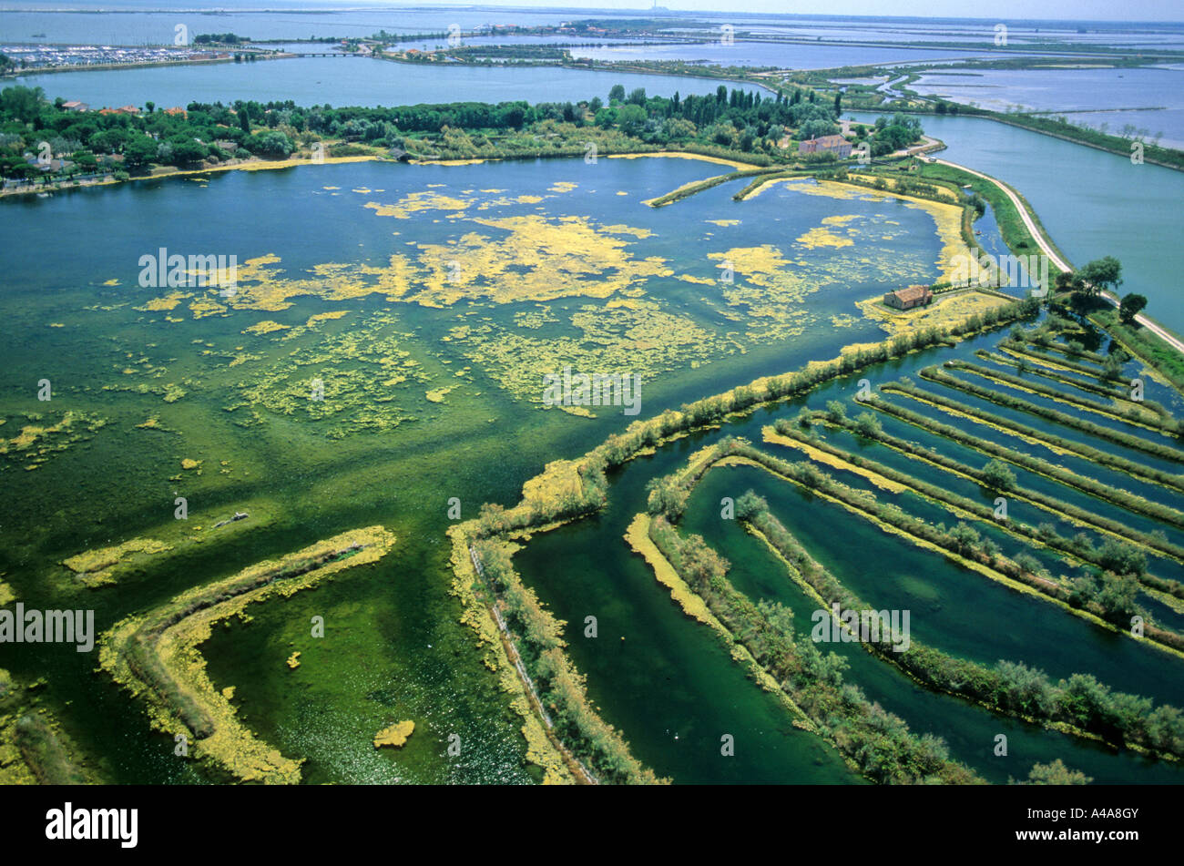 Albarella hi-res stock photography and images - Alamy