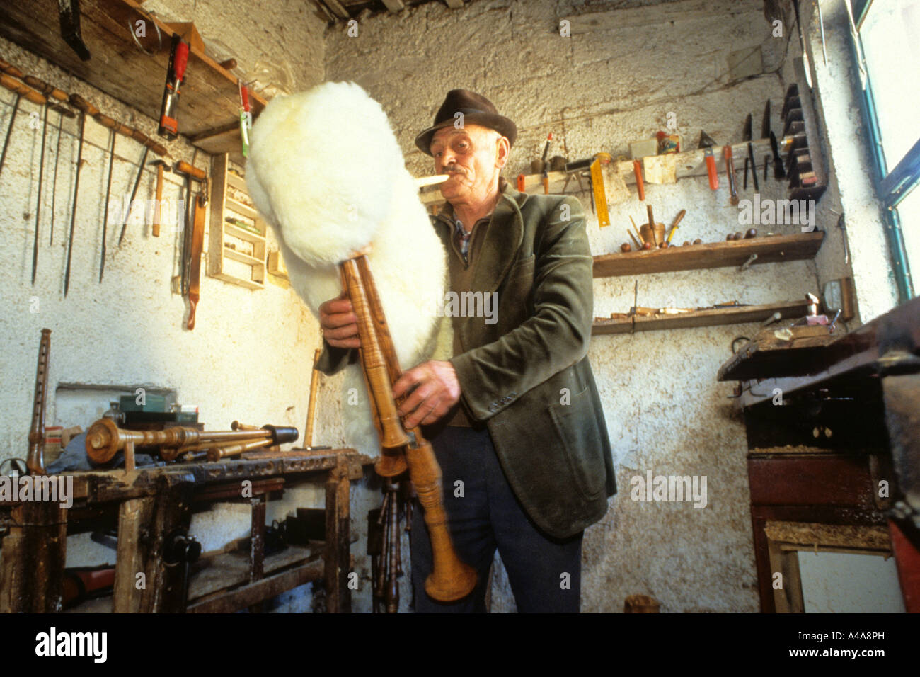 Piper Scapoli Molise Italy Stock Photo - Alamy