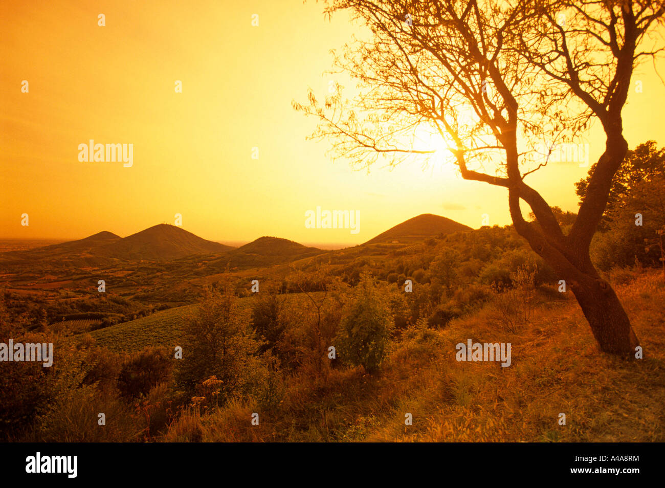 Fasolo hi-res stock photography and images - Alamy