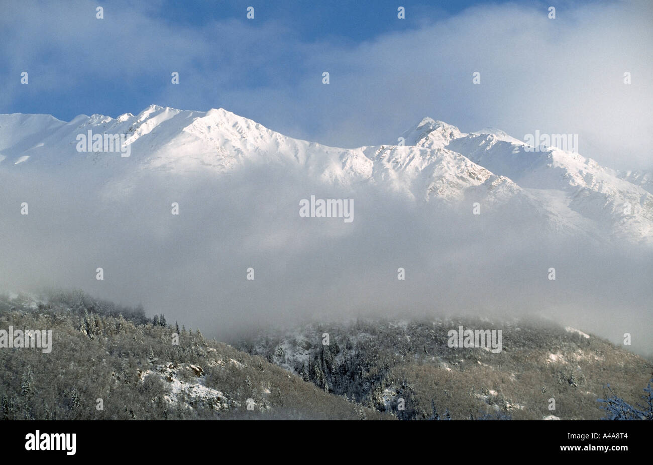 Chilkat River Valley Stock Photo - Alamy