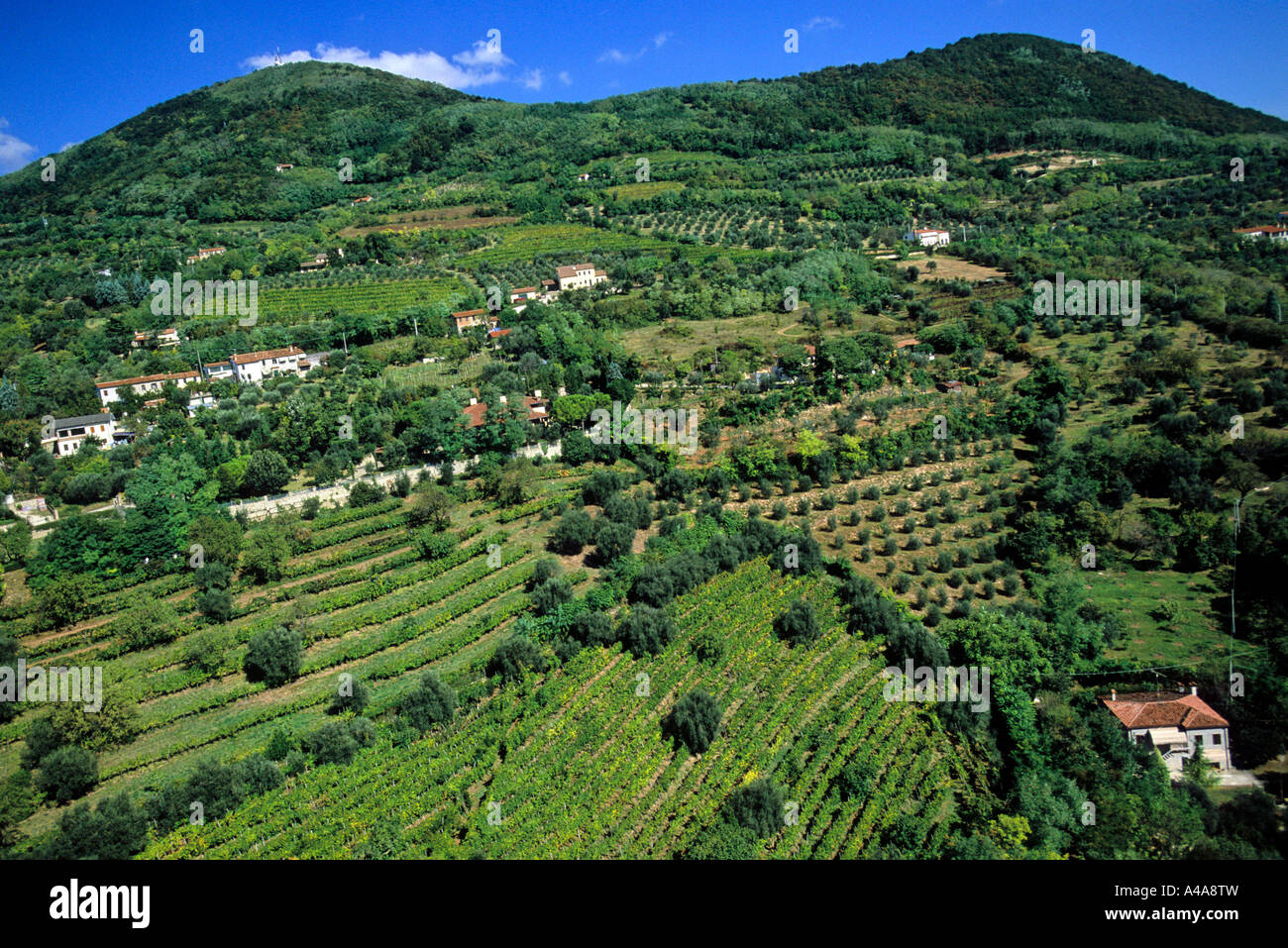 Aerial view of Euganean Hills from Arquà Petrarca Veneto Italy Stock ...