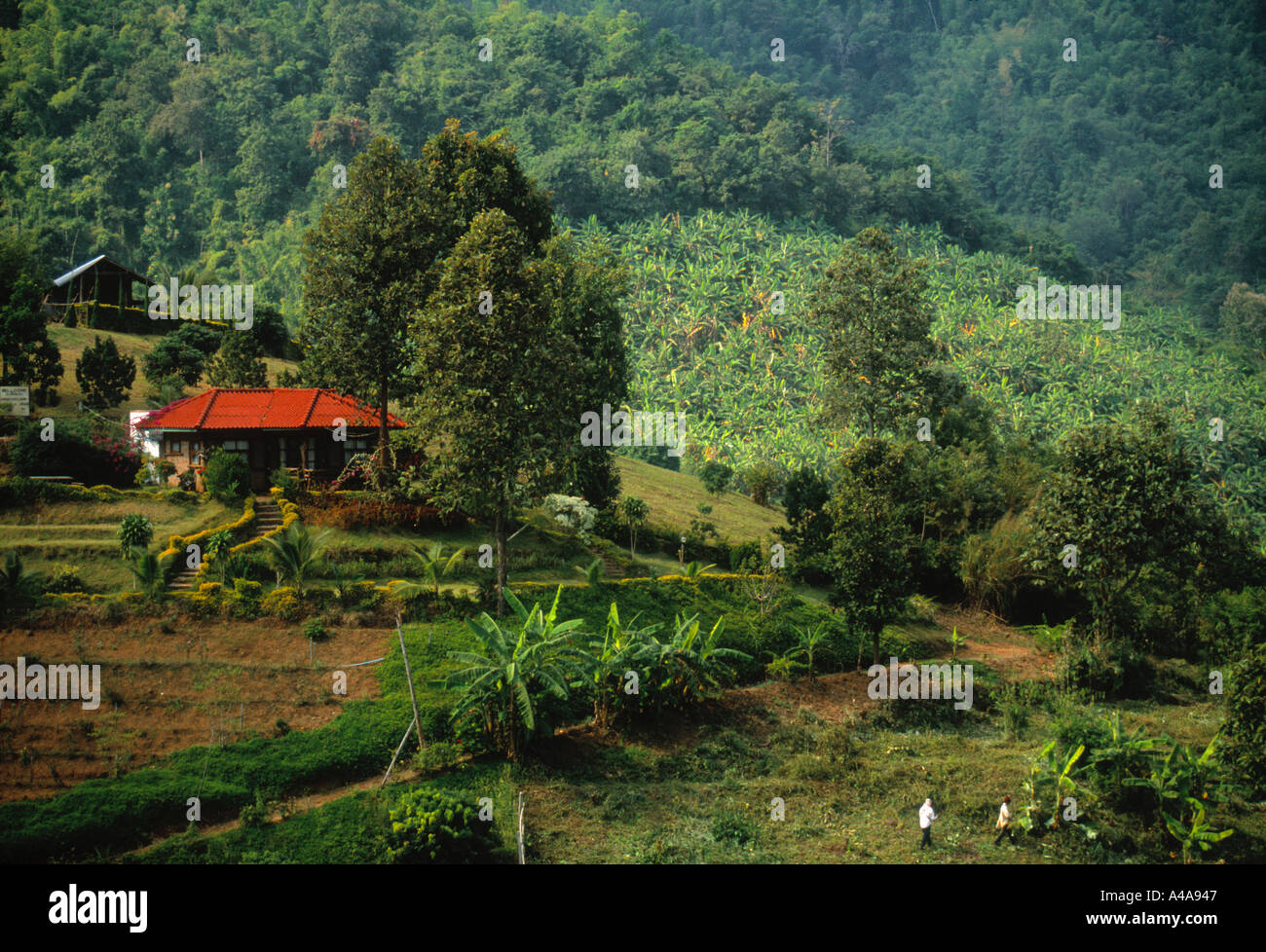 Samoeng hi-res stock photography and images - Alamy