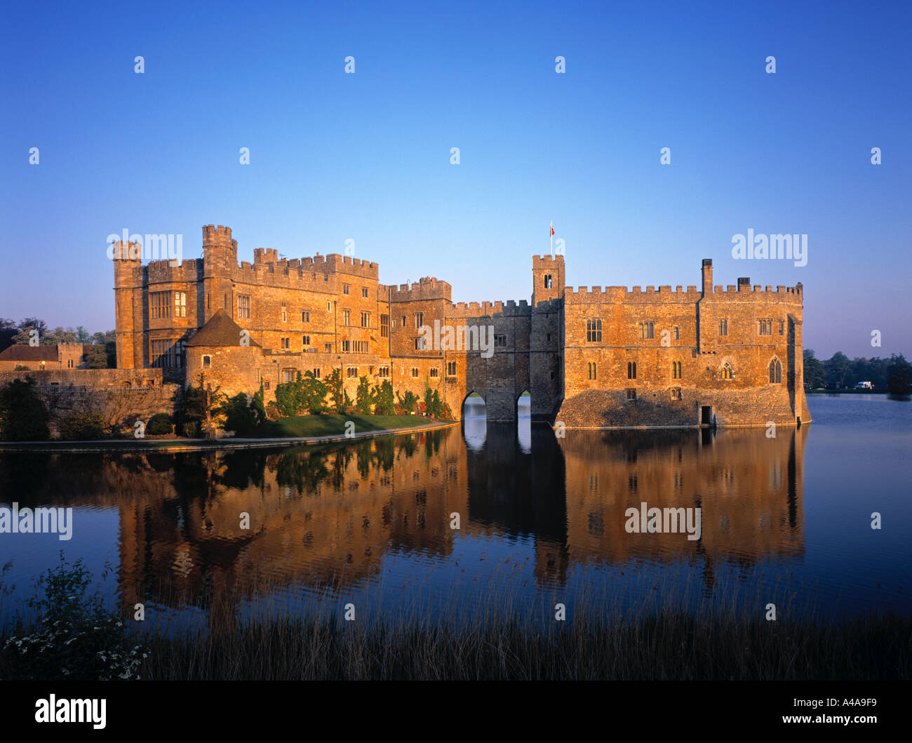Rex Butcher High Resolution Stock Photography and Images - Alamy