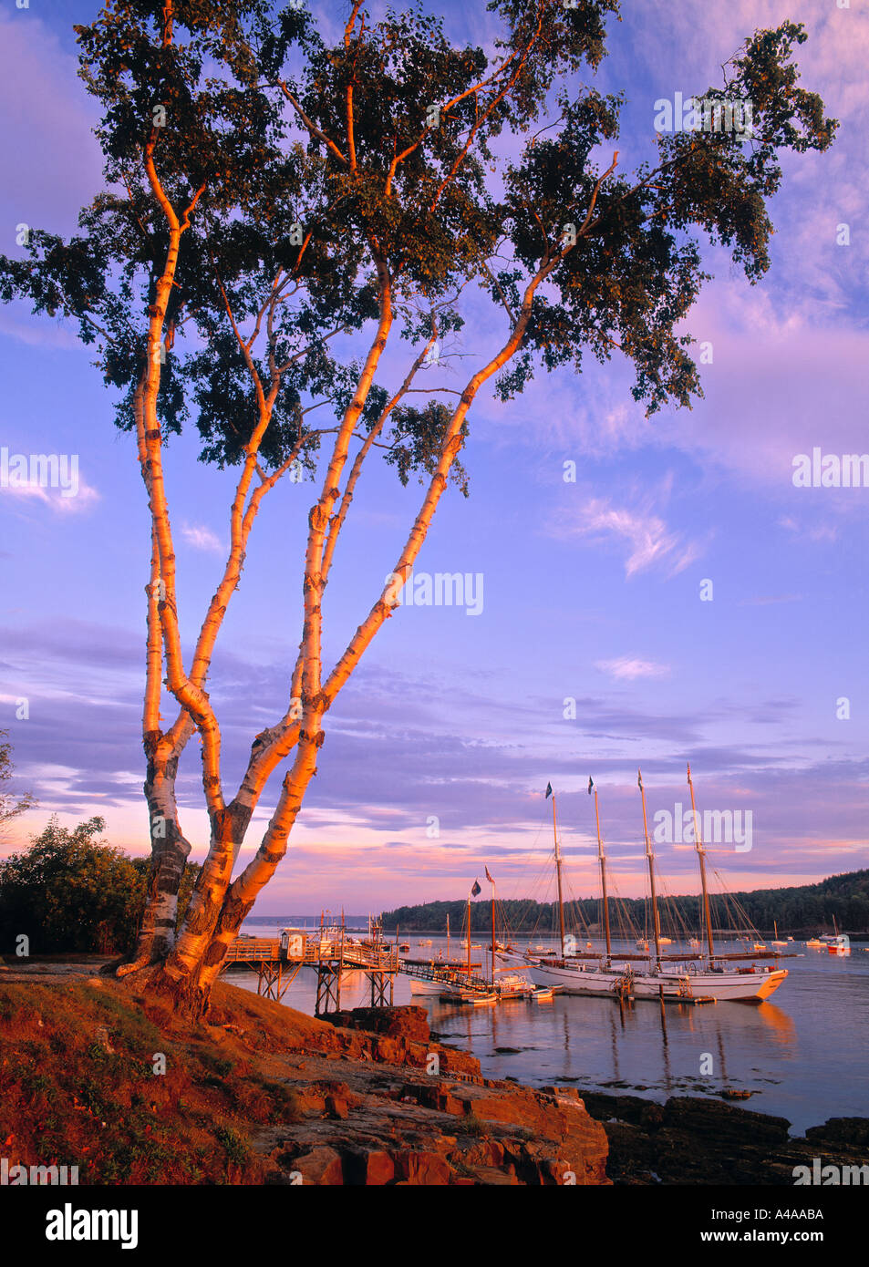 Bar harbor mt desert hi-res stock photography and images - Alamy