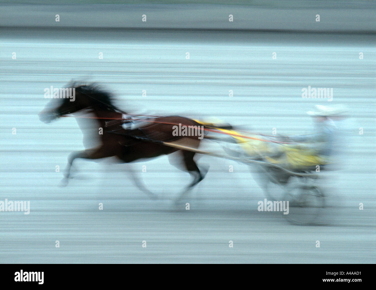 Chariot racing hi-res stock photography and images - Alamy
