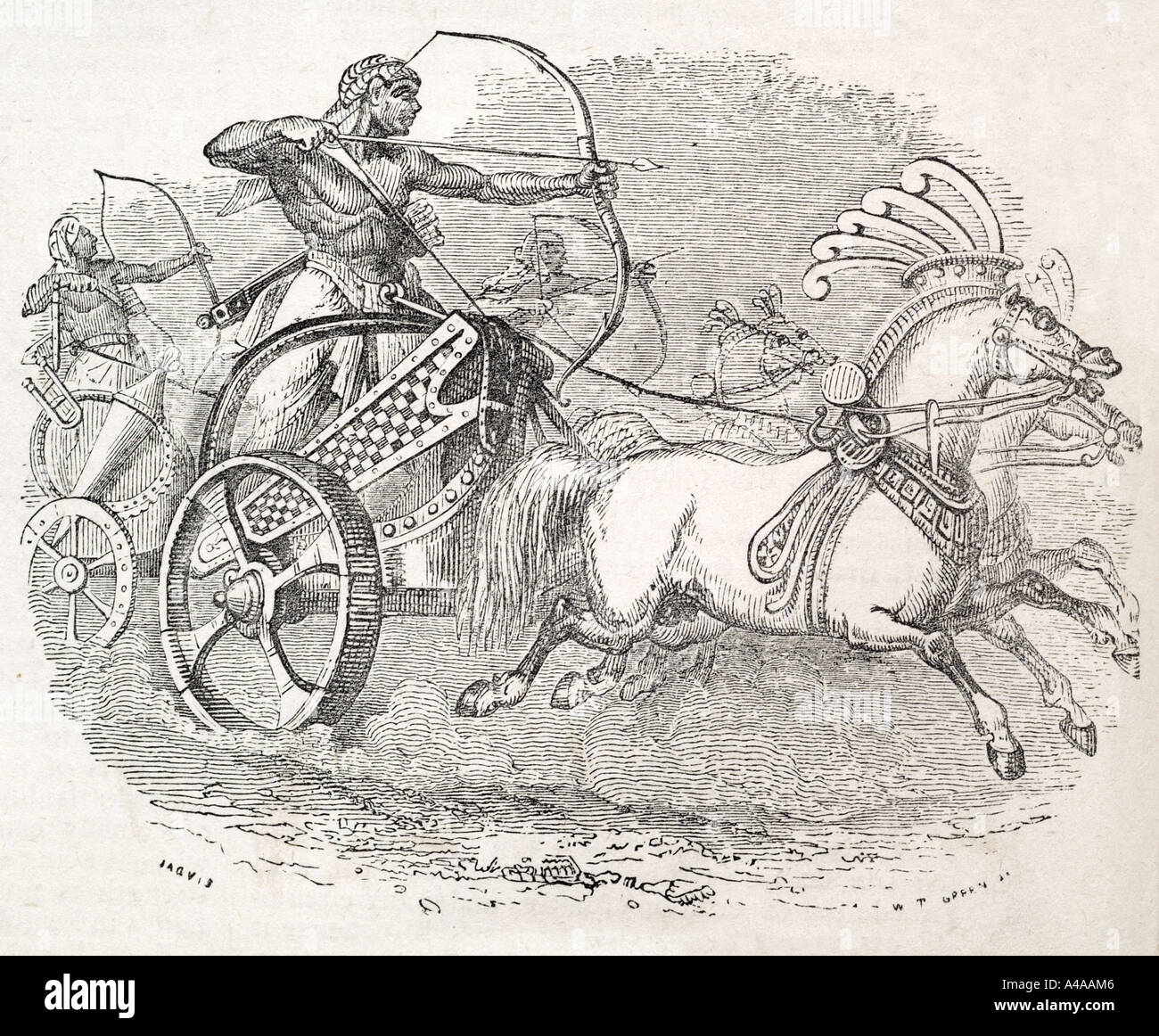 Egyptian chariot High Resolution Stock Photography and Images - Alamy