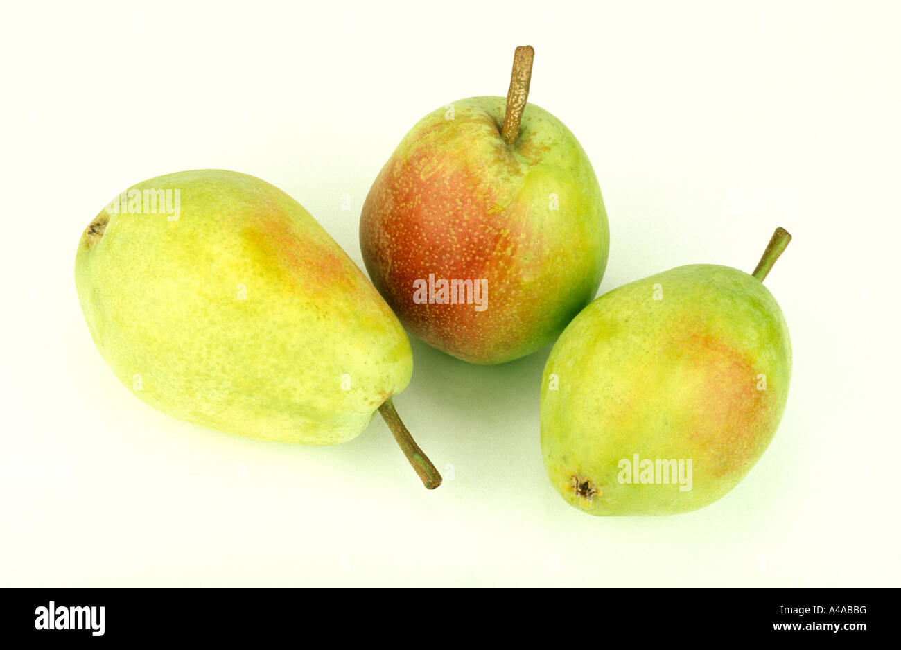 Guyot hi-res stock photography and images - Alamy