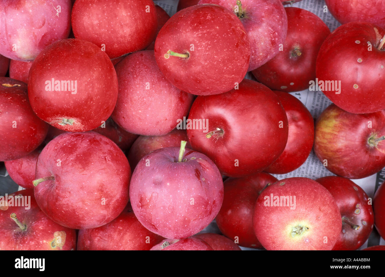 Jonathan apple hi-res stock photography and images - Alamy