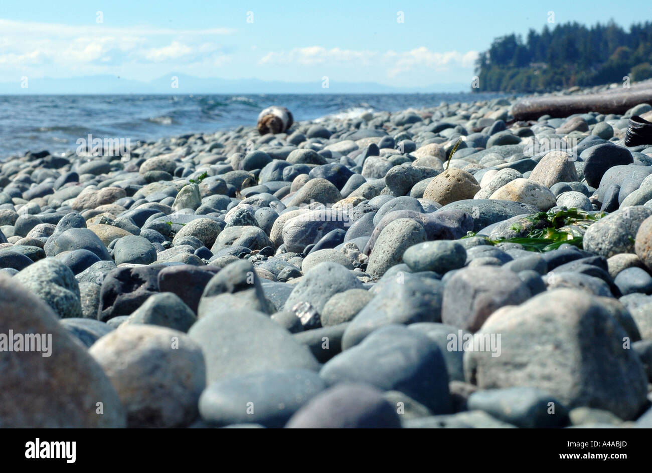 Pebbles on the beach with surf washing over them Stock Photo - Alamy