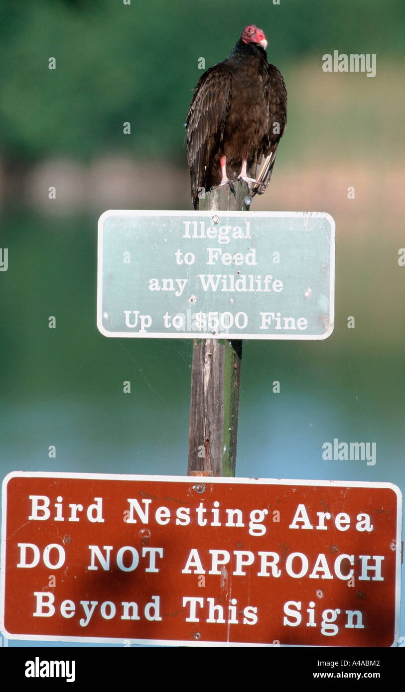 Vultures sign hi-res stock photography and images - Alamy