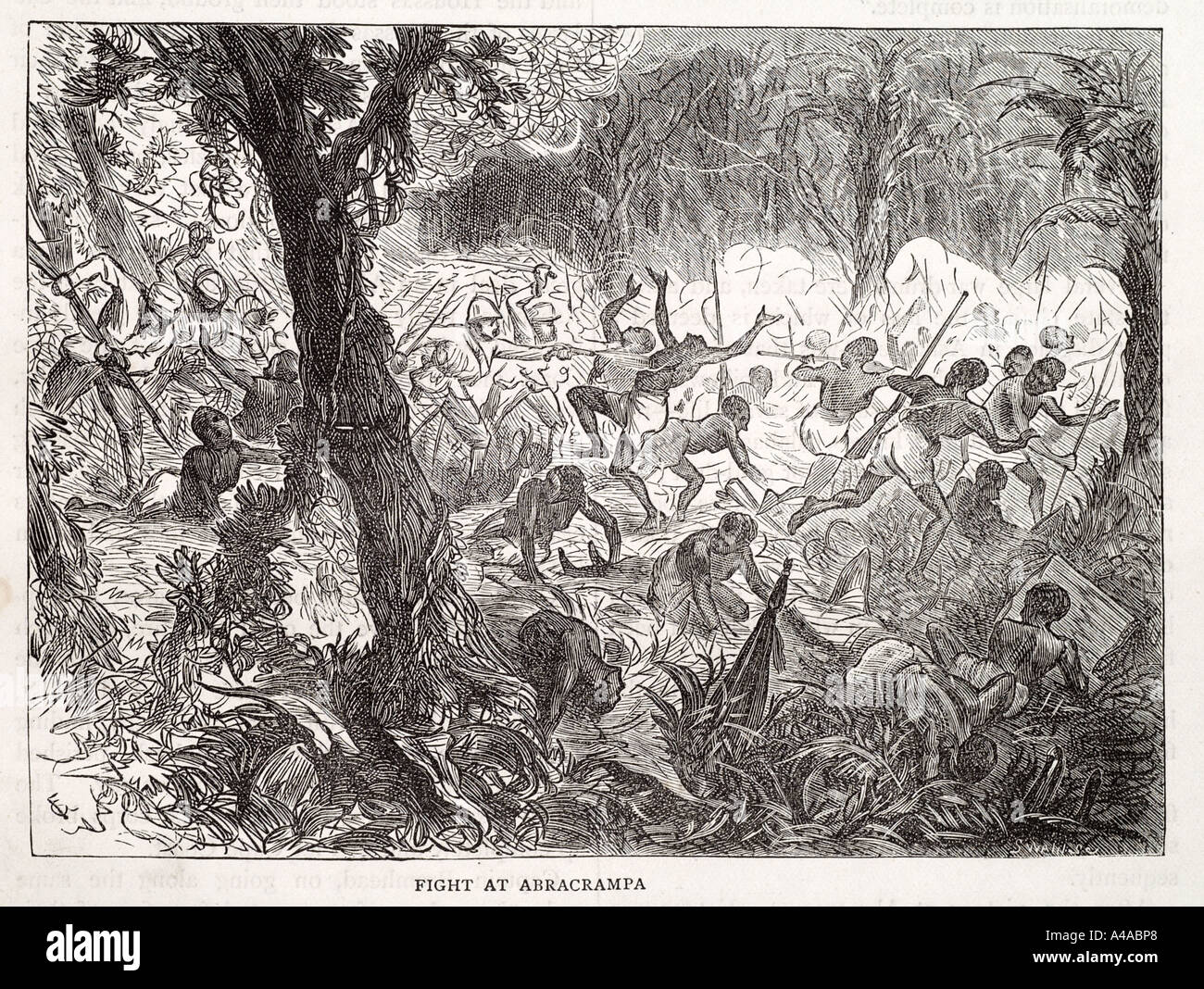 Jungle war hi-res stock photography and images - Alamy