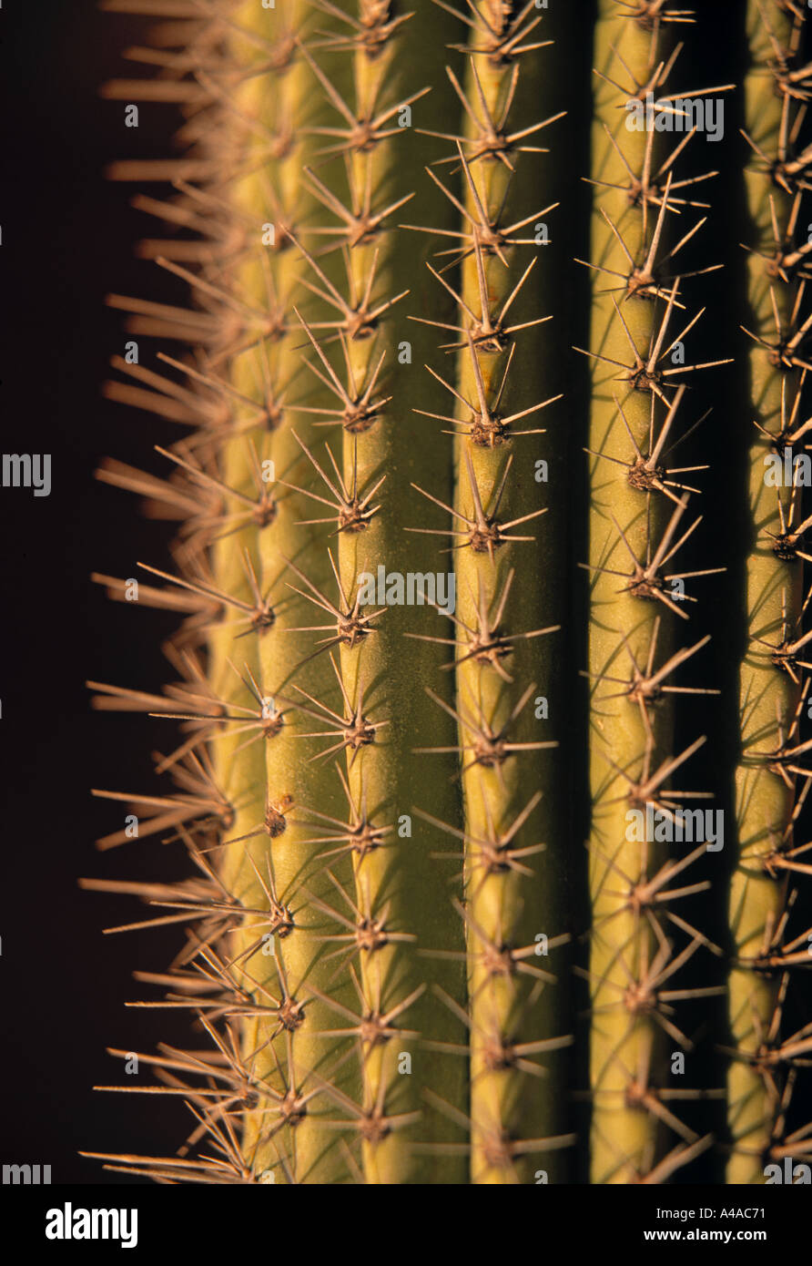 Mx03095 hi-res stock photography and images - Alamy