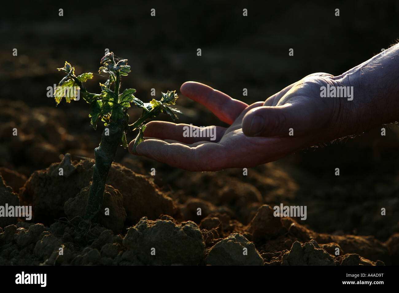 Clayey hi-res stock photography and images - Alamy