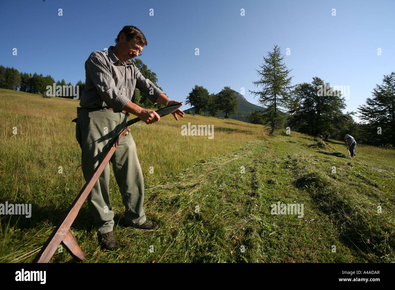 Mountain haymaking hi-res stock photography and images - Alamy