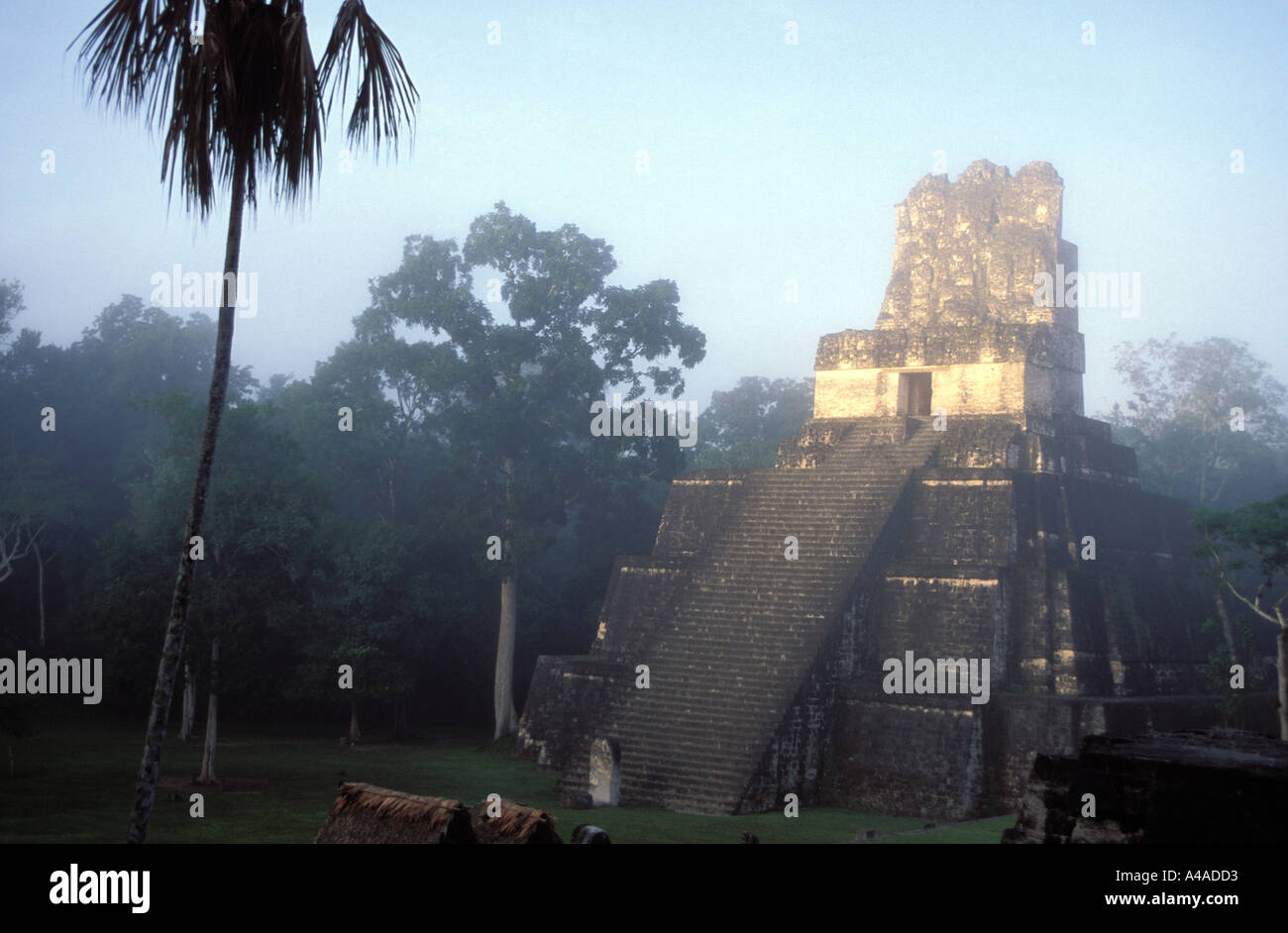 Mayan temple at Tikal Guatemala Stock Photo - Alamy