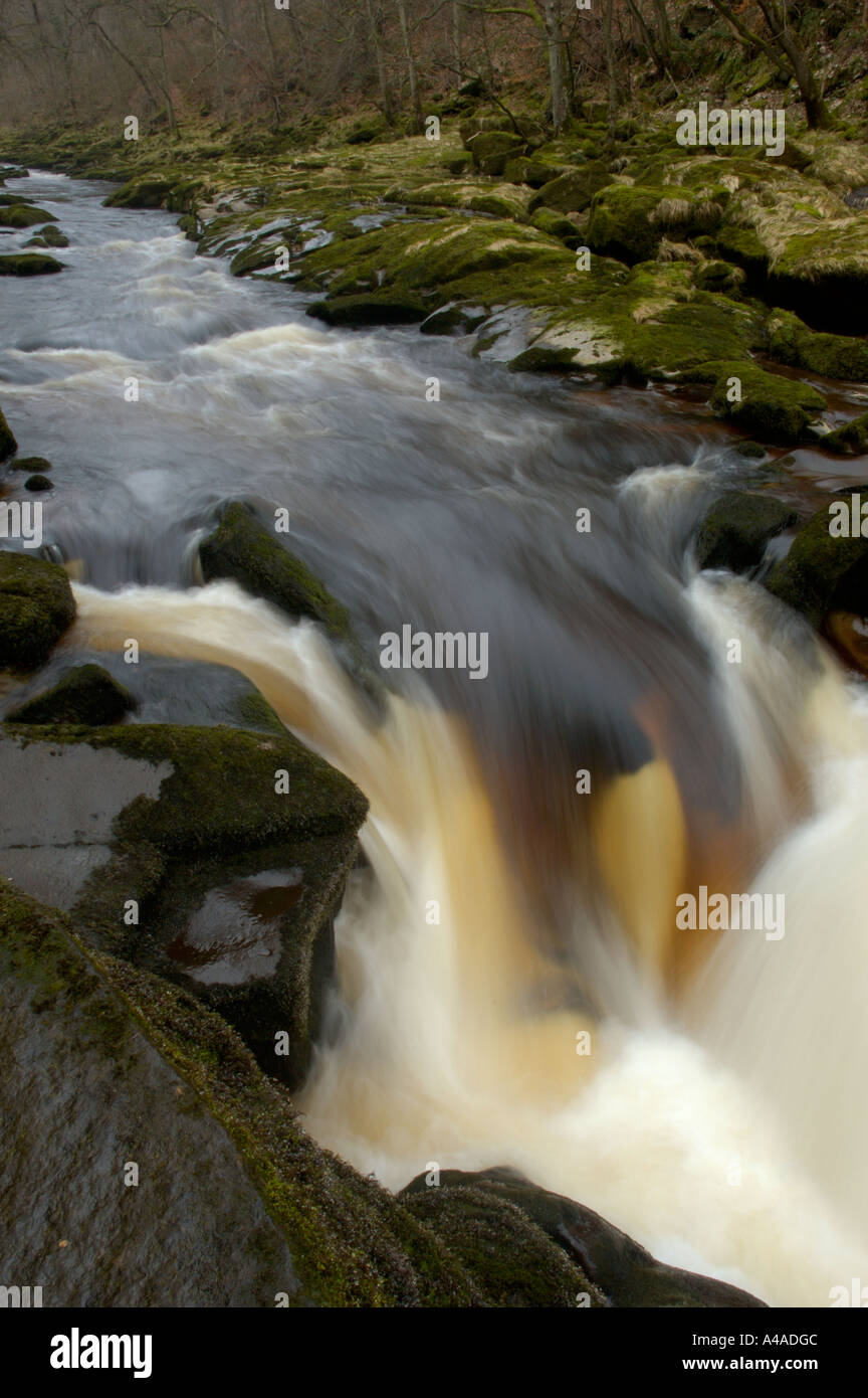 River Wharfe, The Strid, Yorkshire, England Stock Photo - Alamy