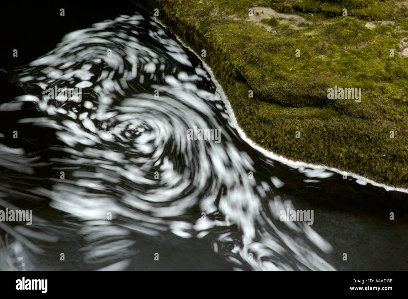 Swirl of foam in River Wharfe, The Strid, Yorkshire, England Stock ...