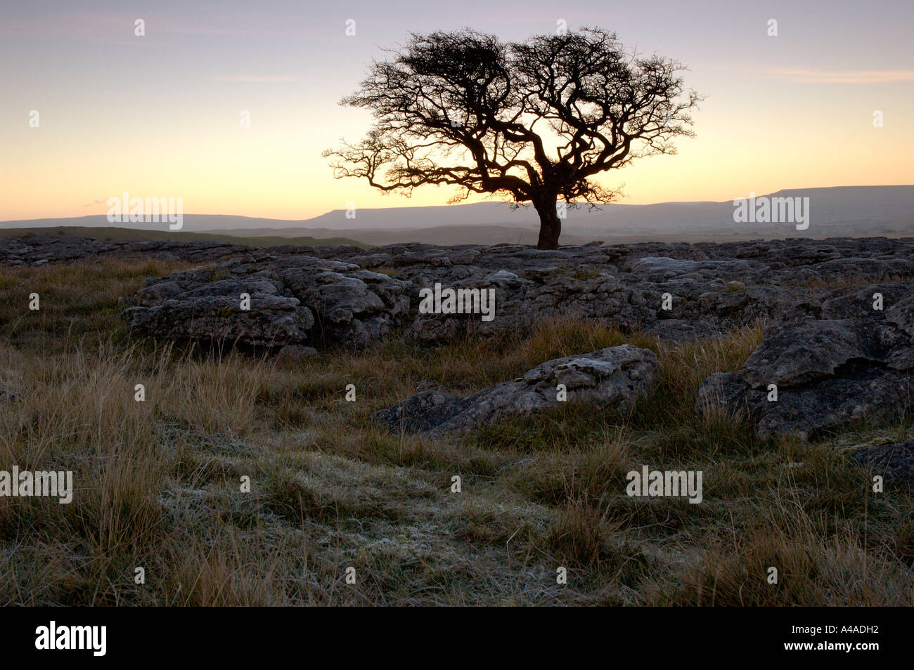 Orton Scar High Resolution Stock Photography and Images - Alamy