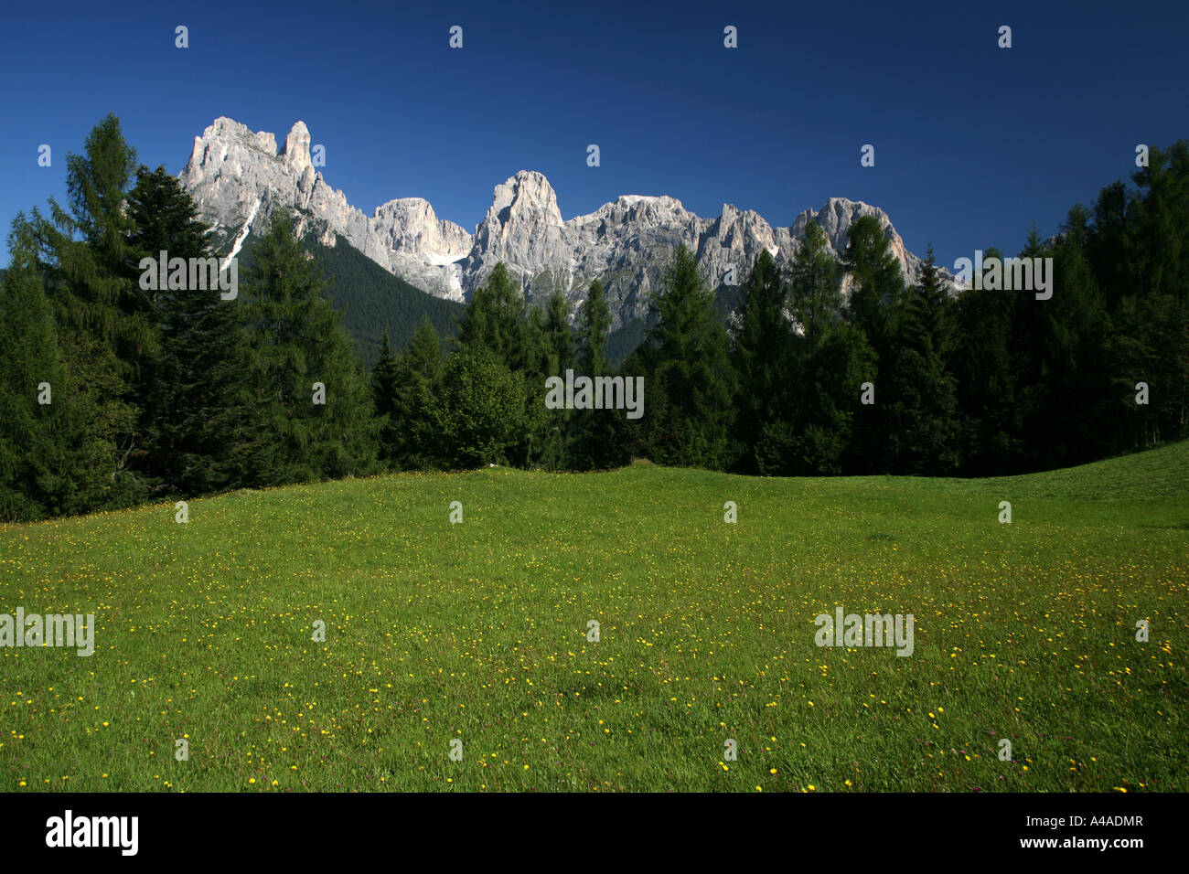 Pale di San Martino mountain chain Trentino Alto Adige Italy Stock ...