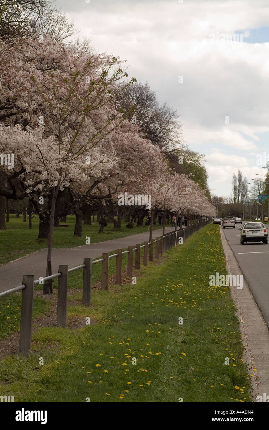 Christchurch hagley park spring hi-res stock photography and images - Alamy