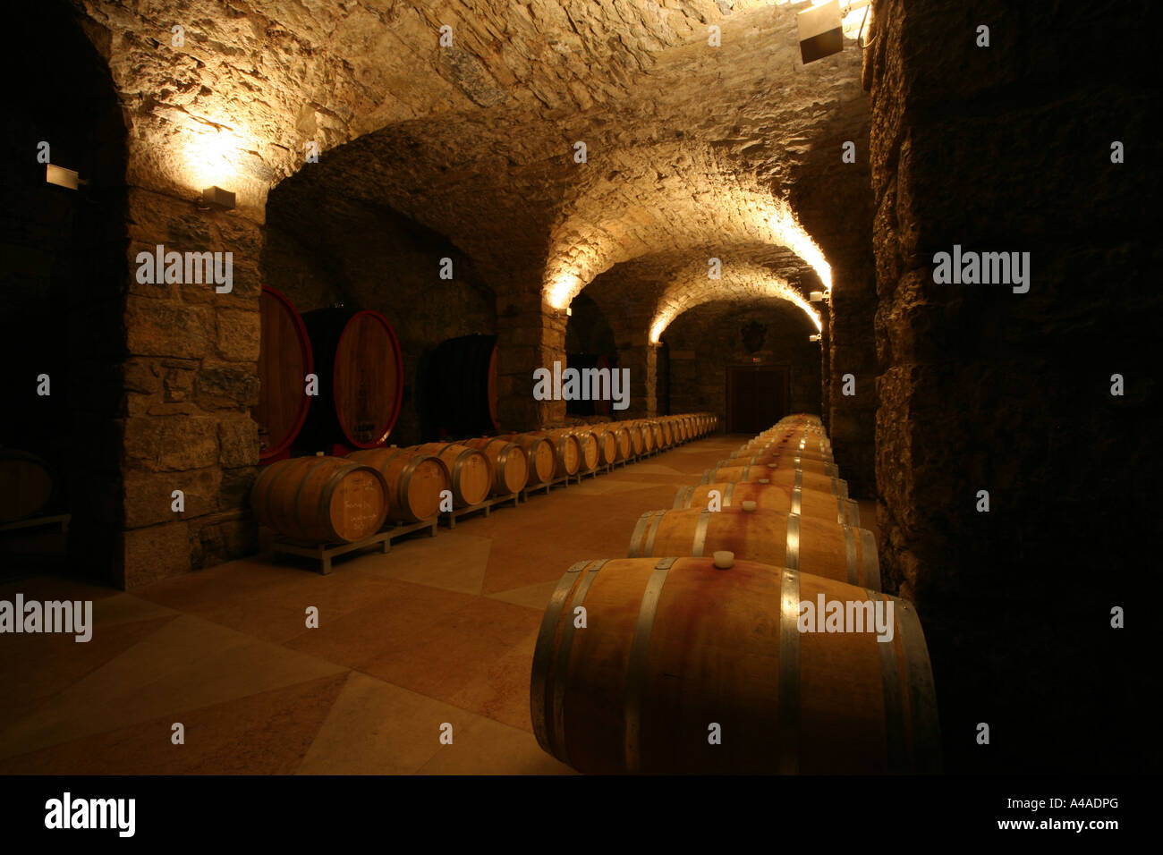 Historical cellar IASMA agricultural Institute San Michele All Adige ...