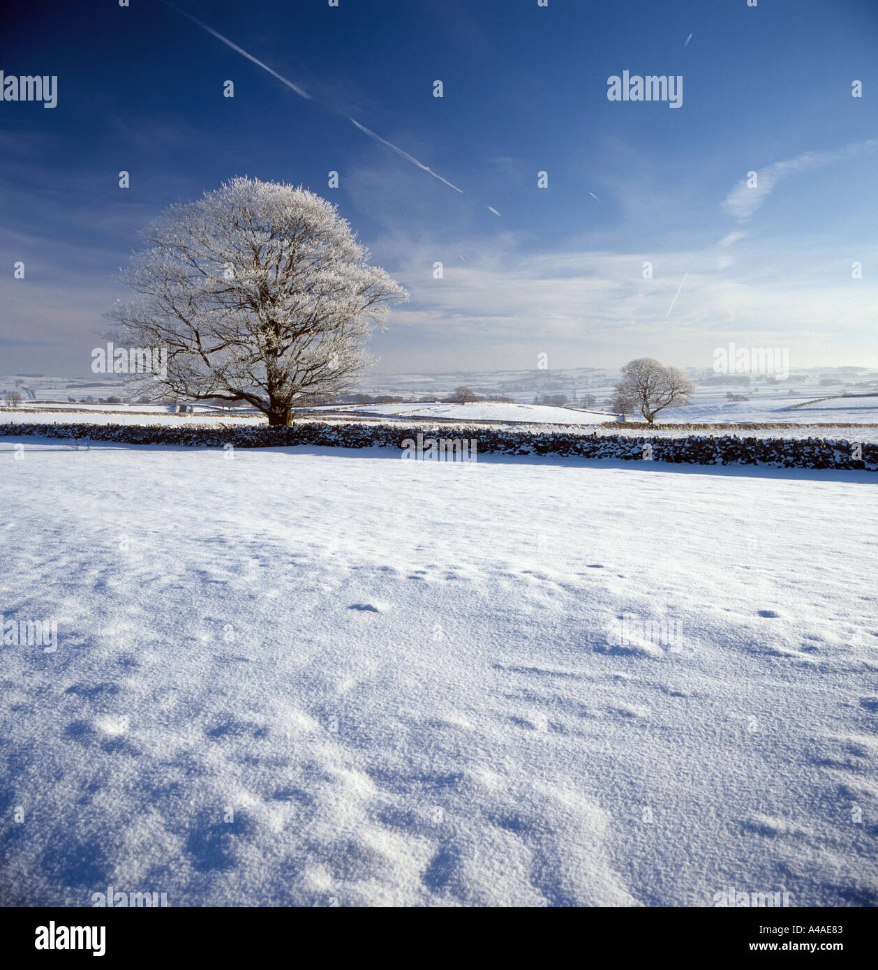 Snow and landscape hi-res stock photography and images - Alamy