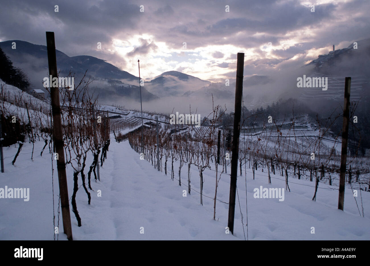 Val di cembra hi-res stock photography and images - Alamy