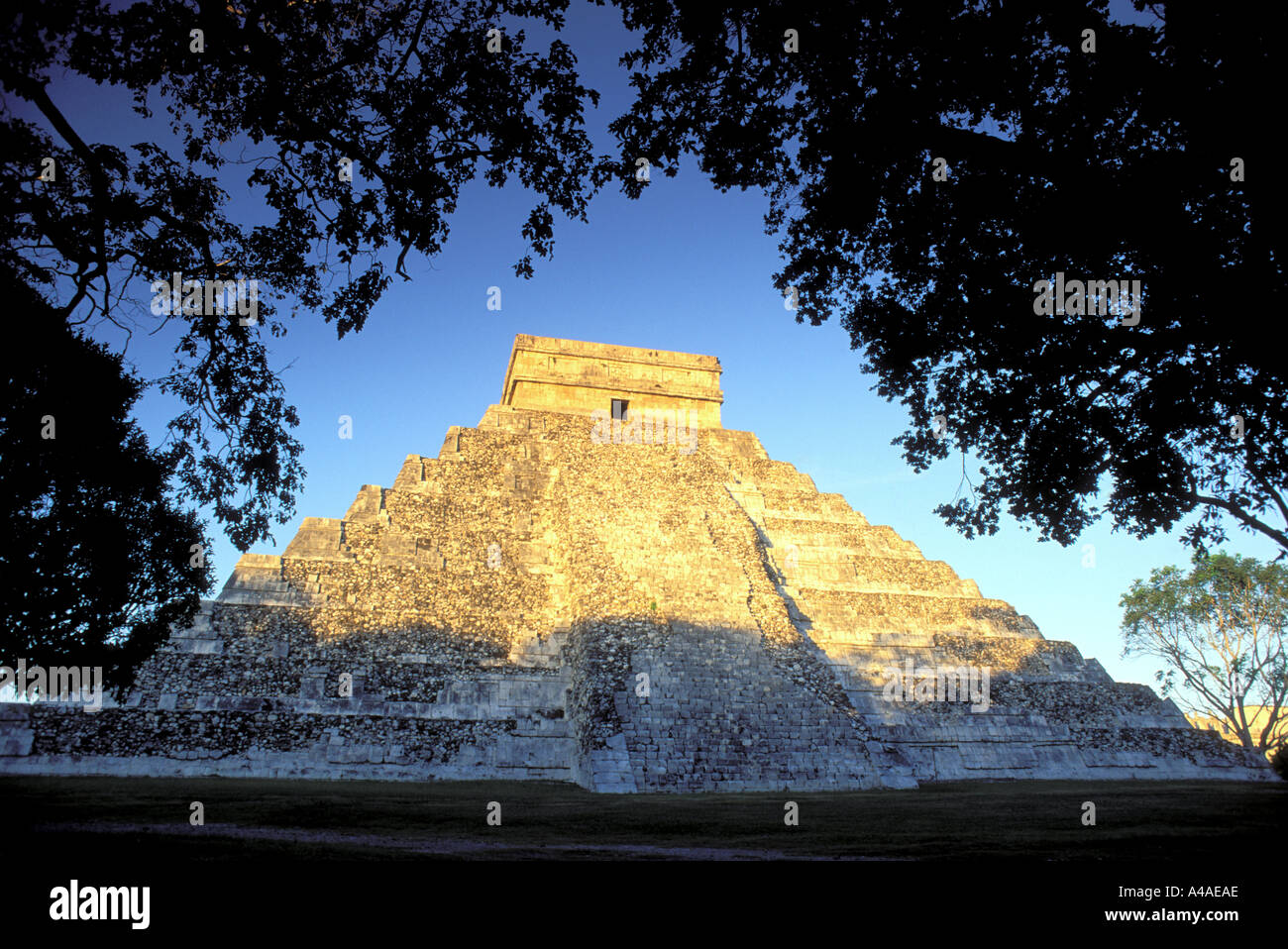 Pyramid at Chichen Itza Yucatan Mexico Stock Photo - Alamy