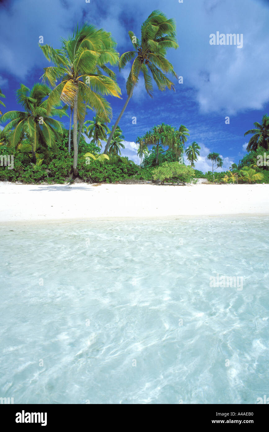 Tropical beach scene with shallow water in foreground South Pacific ...