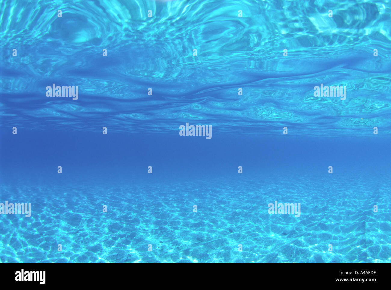Shallow underwater scene showing sand bottom and surface of water ...