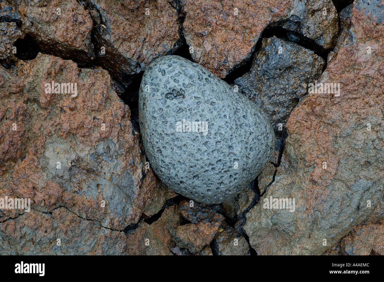 Vesicular basalt hi-res stock photography and images - Alamy