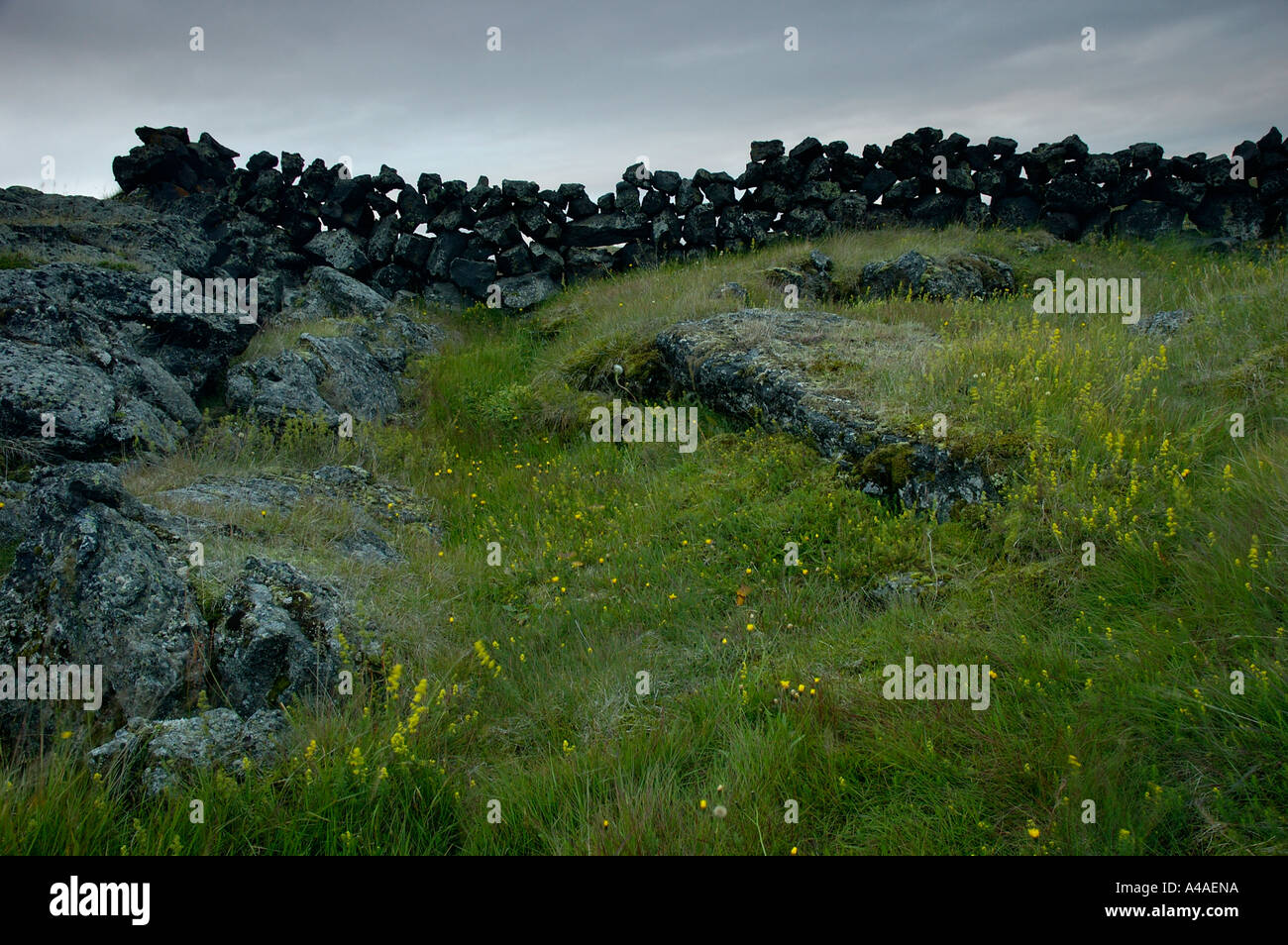 Twilight stone wall Mývatn Iceland Stock Photo - Alamy